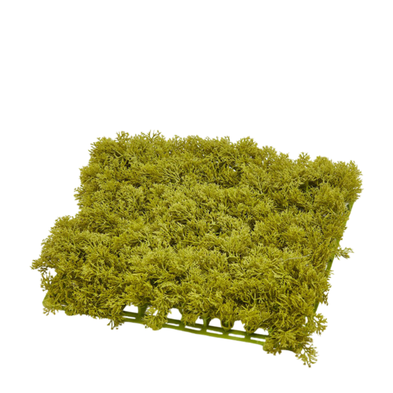 Muschio lichene color verde, tappeto da 25 x 25 cm – Magiedinatale.it